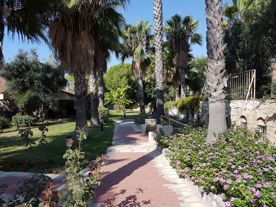 "Gartenanlage" Hotel Defne Garden (Side - Kumköy) • HolidayCheck ...