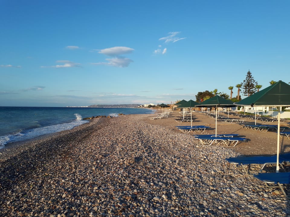 "Strand" Blue Bay Hotel (Ialysos) • HolidayCheck (Rhodos | Griechenland)
