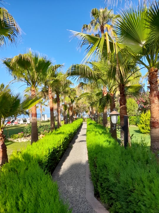 "Strandweg " Iz Flower Side Beach Hotel (Side - Kumköy) • HolidayCheck ...