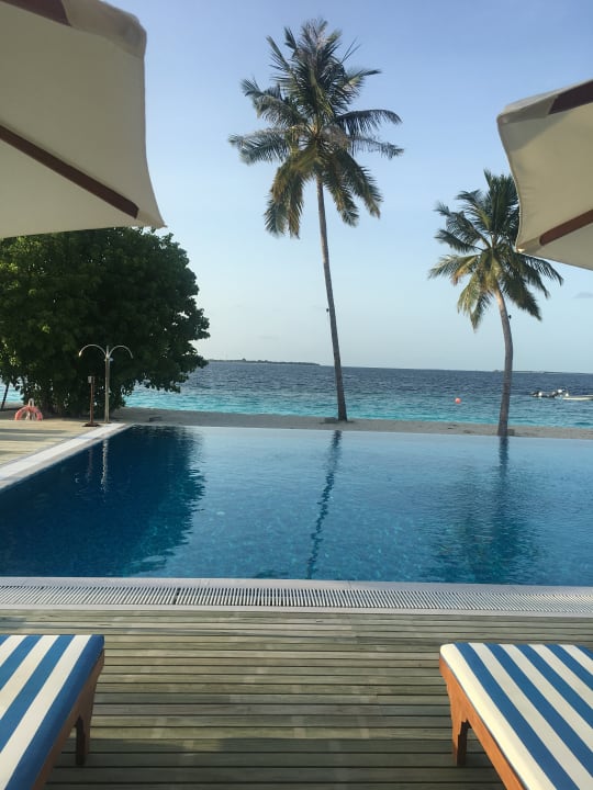 "Infinity pool mit Bar und..." Reethi Faru Resort (Meedhoo ...