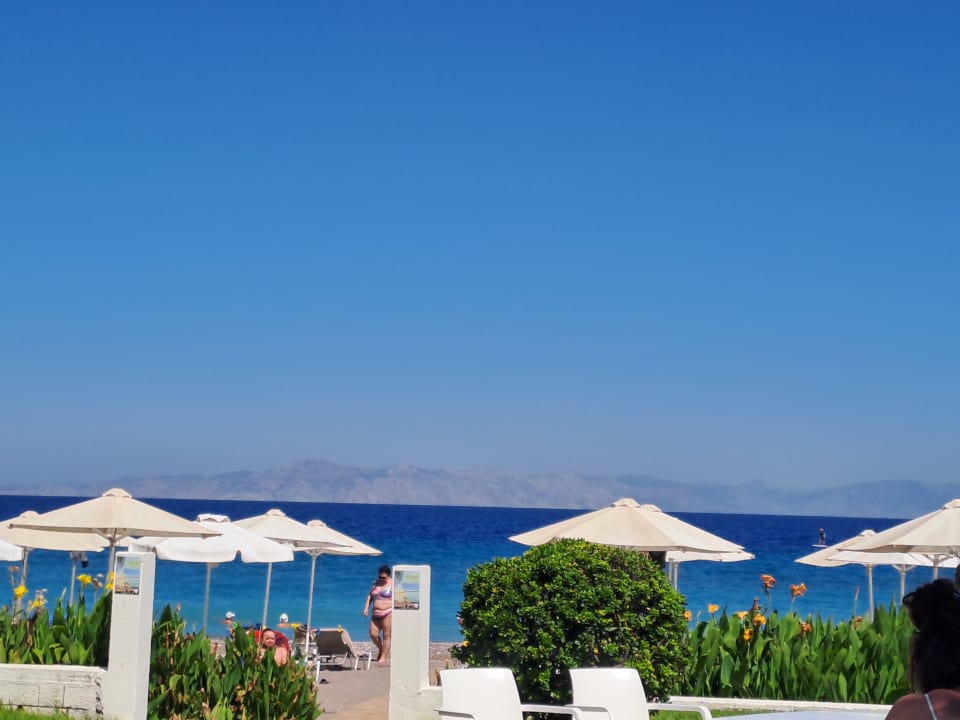 "Pool" Blue Bay Hotel (Ialysos) • HolidayCheck (Rhodos | Griechenland)