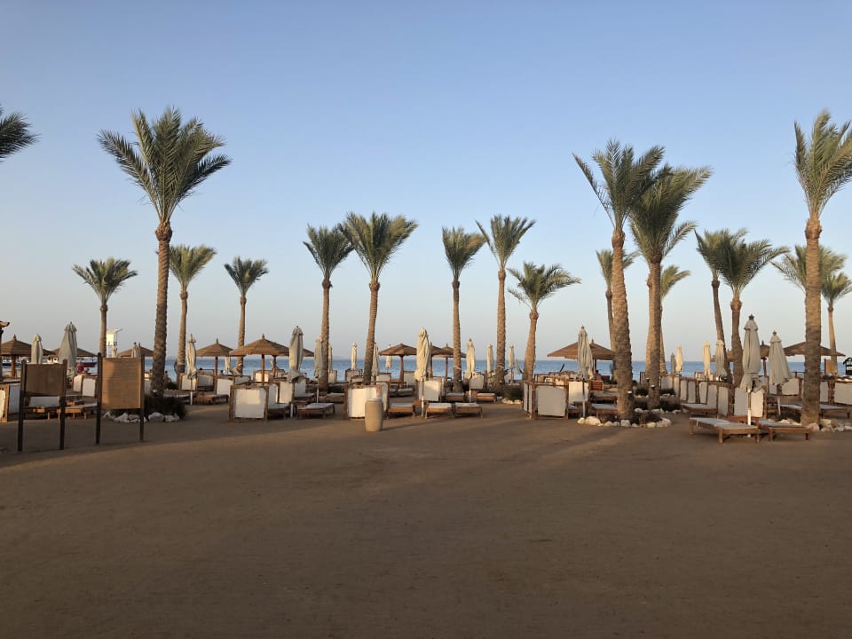 "Strand" Steigenberger ALDAU Beach Hotel (Hurghada) • HolidayCheck ...