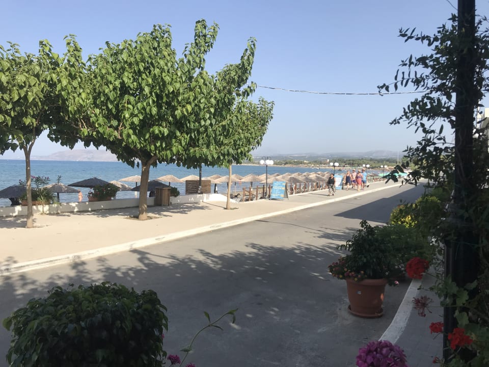"Ausblick" Corissia Beach Hotel (Georgioupolis) • HolidayCheck (Kreta ...