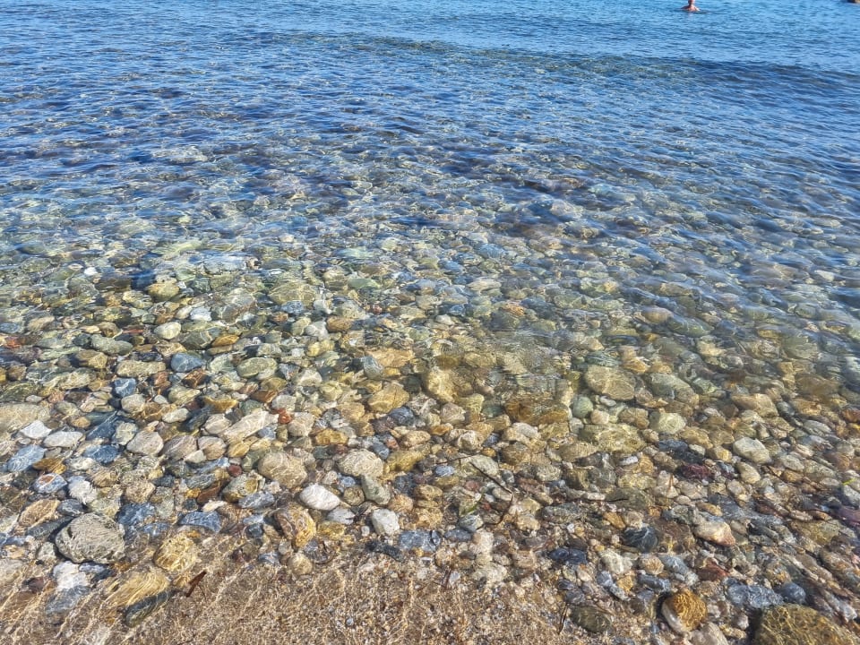 "Strand" Harmony Rethymno Beach (Stavromenos) • HolidayCheck (Kreta ...