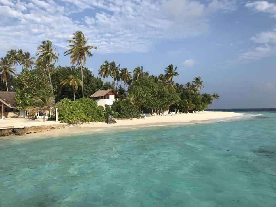 "Strand" Malahini Kuda Bandos Resort (Hulhumalé) • HolidayCheck (Kaafu ...