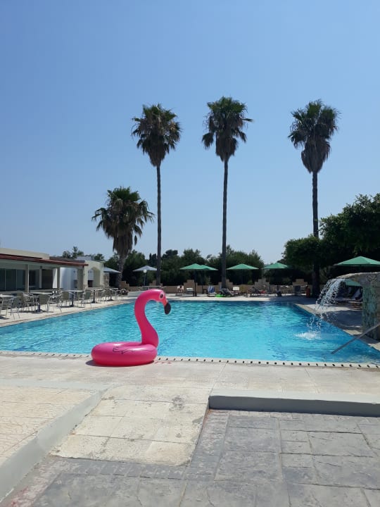 "Pool" Ilios K Village Resort (Tigaki) • HolidayCheck (Kos | Griechenland)