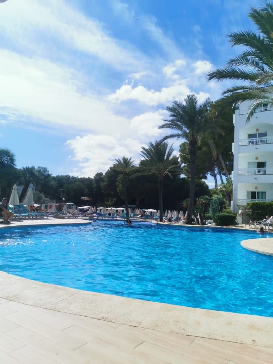 "Pool" TUI SUNEO Green Garden (Cala Ratjada) • HolidayCheck (Mallorca ...