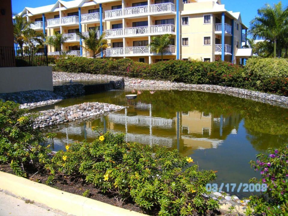 "Hier sehen Sie das Falmin..." Hotel Luperon Beach Resort (Luperon ...