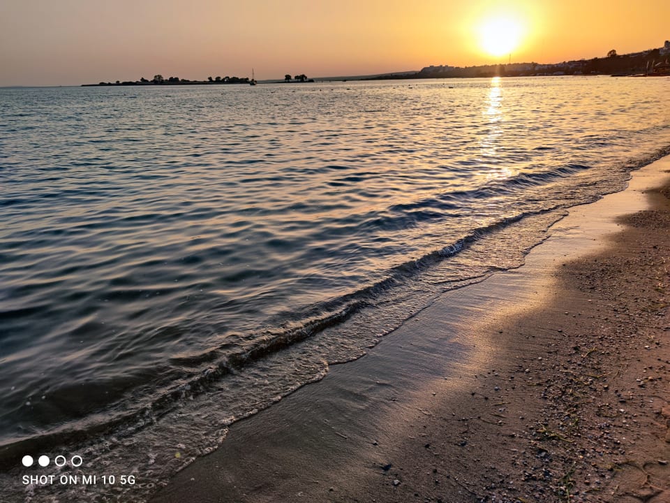 "Strand" Maxeria Blue Didyma (Didim) • HolidayCheck (Türkische Ägäis ...