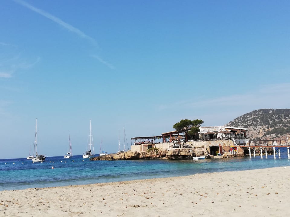 "Strand" Alua Gran Camp de Mar (Camp de Mar) • HolidayCheck (Mallorca ...