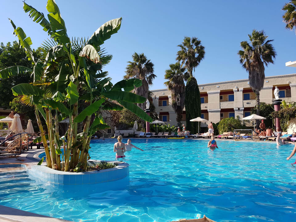 "Pool" Apollon Hotel (Lambi) • HolidayCheck (Kos | Griechenland)