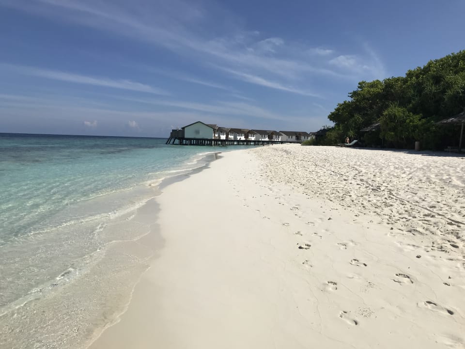 "Strand" Reethi Beach Resort (Dharavandhoo) • HolidayCheck (Baa Atoll ...