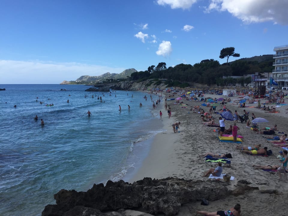 "Cala Moll" Bellavista Hotel (Cala Ratjada) • HolidayCheck (Mallorca ...