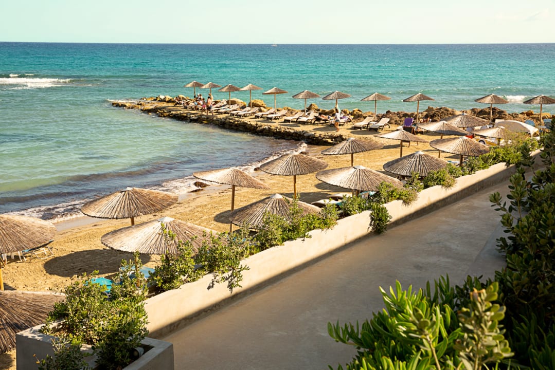 "Strand" Alexandra Beach Resort & Spa (Planos Tsilivi) • HolidayCheck ...