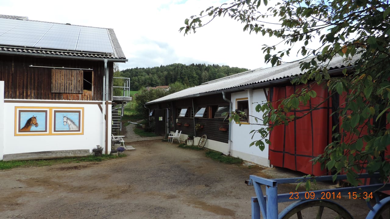 "Reitstall" Familienhotel Reiterhof Runding (Runding) • HolidayCheck ...