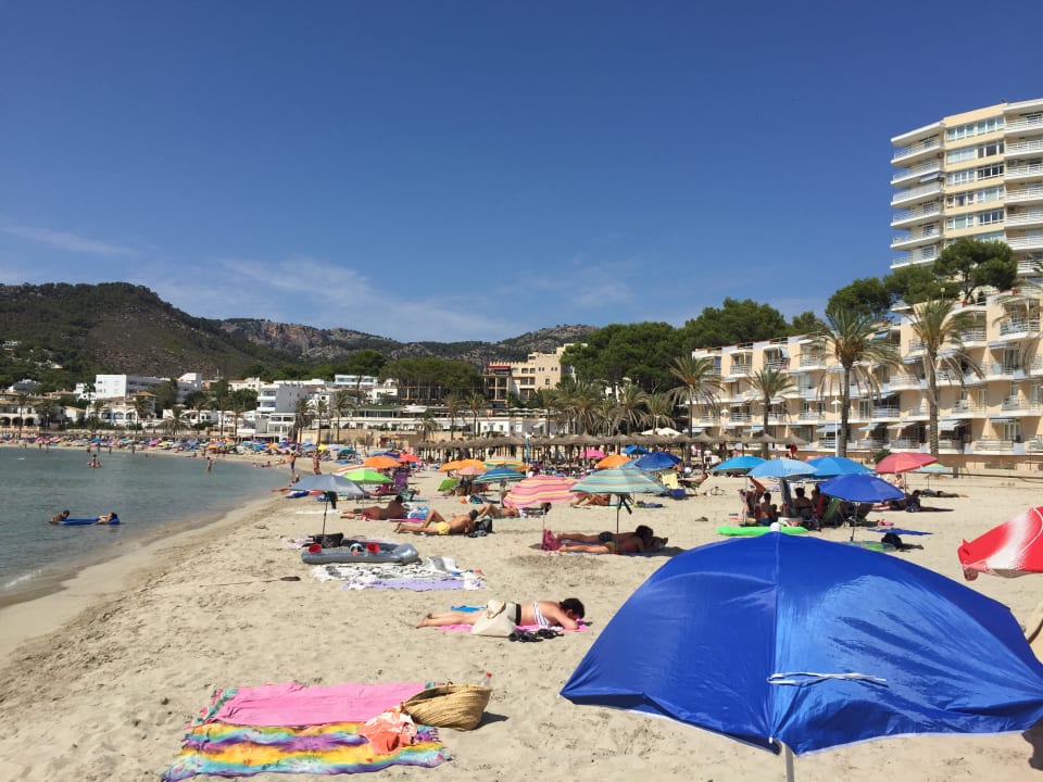 "Strand" allsun Hotel Paguera Park (Peguera) • HolidayCheck (Mallorca ...