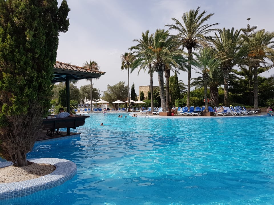 "Pool" PortBlue Club Pollentia Resort & Spa (Alcudia) • HolidayCheck ...