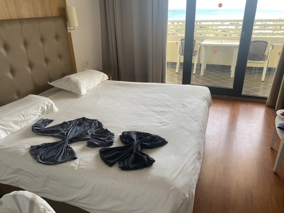 "Zimmer" TUI BLUE Manar (Hammamet) • HolidayCheck (Großraum Monastir ...