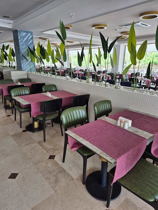 "Gastro" Q Ella Beach Hotel (Colakli) • HolidayCheck (Türkische Riviera ...