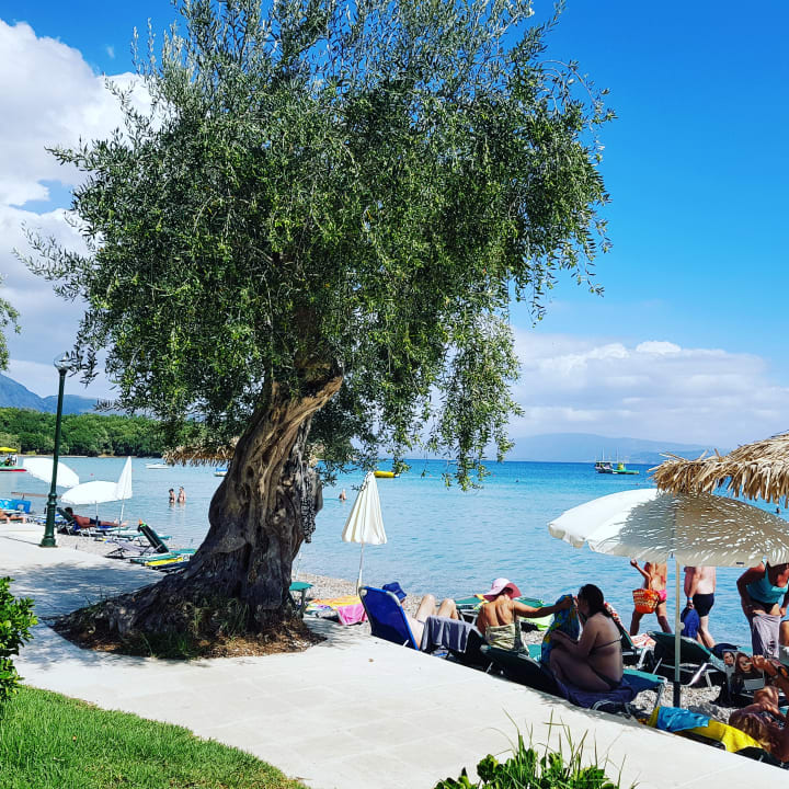 "Einfach schön " Elea Beach Hotel (Dassia) • HolidayCheck (Korfu ...