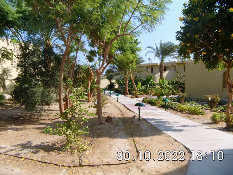 "Eingang zum Hotel" Three Corners Fayrouz Plaza Beach Resort (Marsa ...