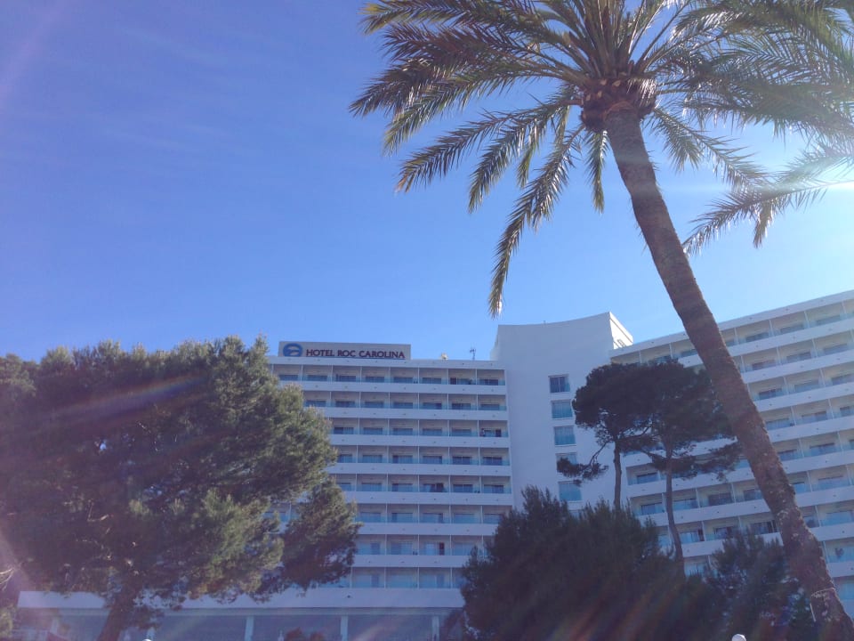 "Blick vom Pool " AluaSoul Carolina - Adults Only (Capdepera ...