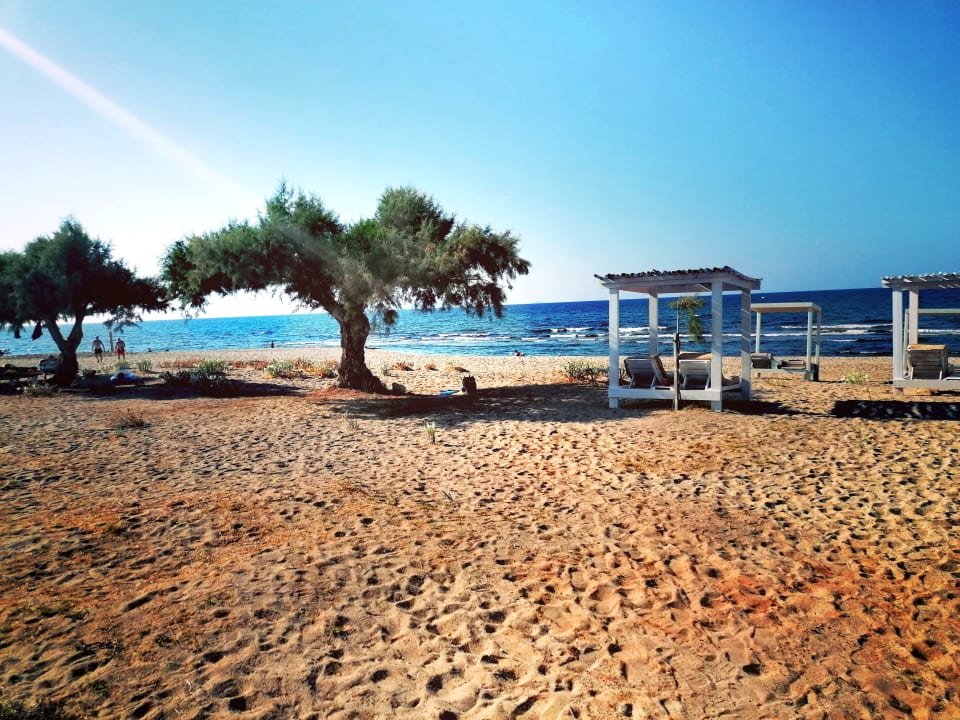 "Strand" Anissa Beach & Village (Anissaras) • HolidayCheck (Kreta ...