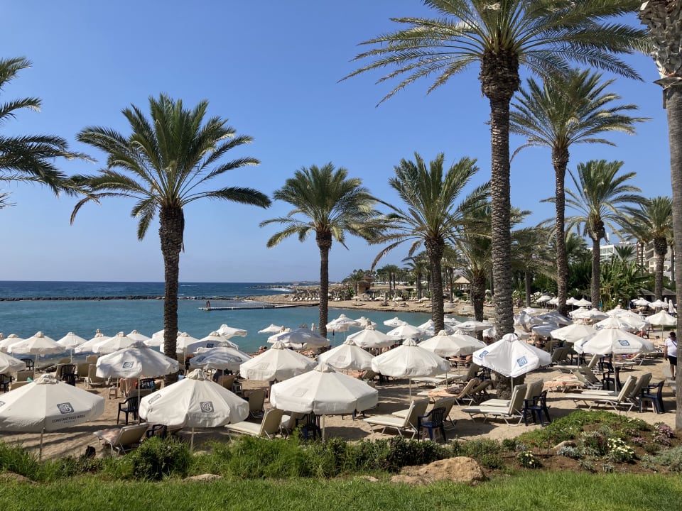 "Strand" TUI BLUE Pioneer Beach (Geroskipou) • HolidayCheck (Südzypern ...