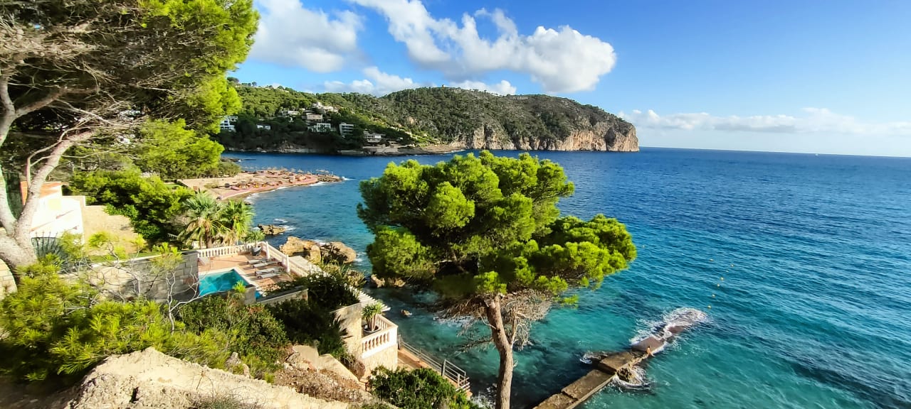 "Bucht" Alua Gran Camp de Mar (Camp de Mar) • HolidayCheck (Mallorca ...