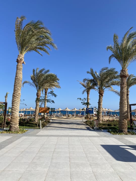 "Weg zum Strand vom Pool " Iberotel Costa Mares (Marsa Alam ...