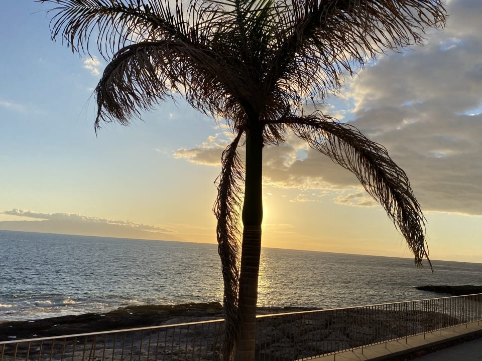 "Strand" Adrián Hoteles Roca Nivaria (Costa Adeje) • HolidayCheck ...