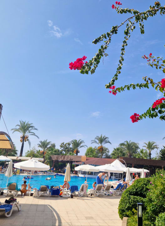 "Pool" TUI KIDS CLUB Felicia Village (Manavgat - Kizilot ...