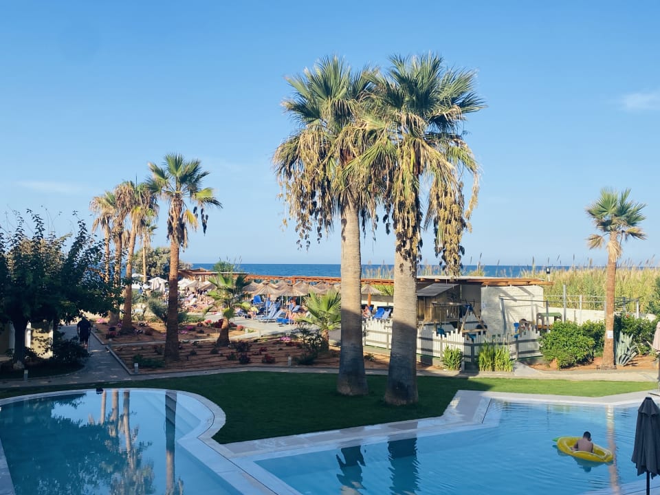 "Pool" Hotel Malia Bay Beach Hotel & Bungalows (Malia) • HolidayCheck ...