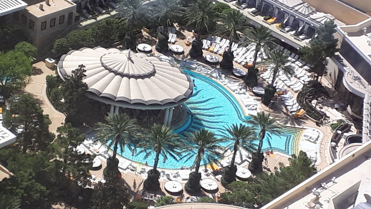 "Pool" Hotel Encore Las Vegas (Las Vegas) • HolidayCheck (Nevada | USA)