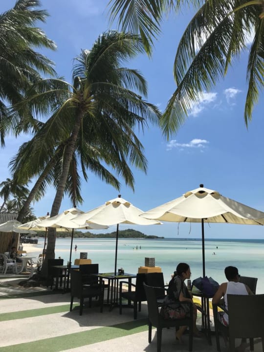 "Blick beim Frühstück " Beyond Samui (Chaweng Beach) • HolidayCheck ...