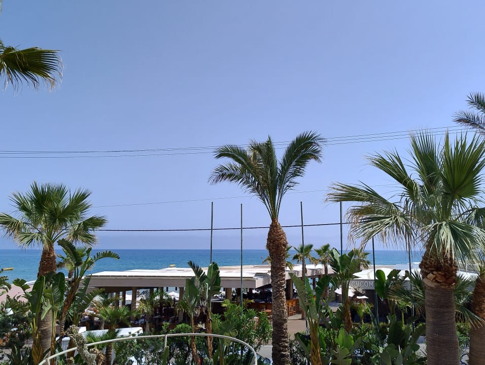 "Ausblick" Cactus Beach (Stalis) • HolidayCheck (Kreta | Griechenland)