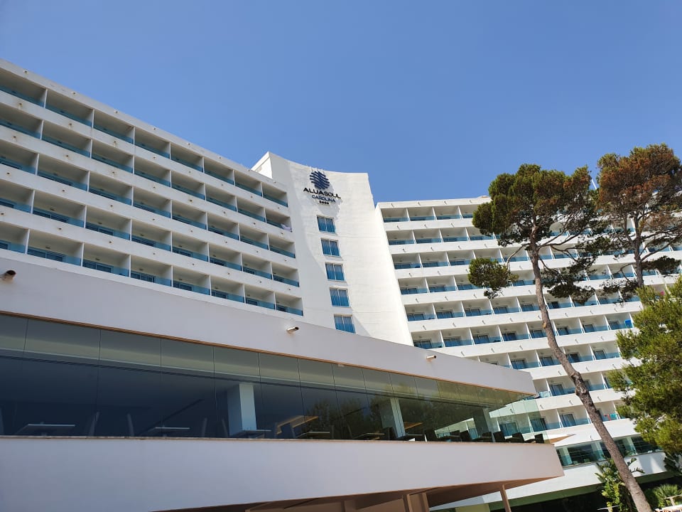 "Ausblick" AluaSoul Carolina - Adults Only (Capdepera) • HolidayCheck ...