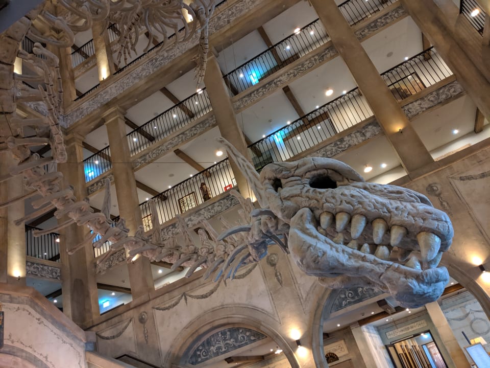 "Lobby" Hotel Kronasar - The Museum Hotel (Rust) • HolidayCheck (Baden ...