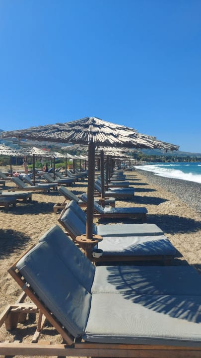 "Strand" Mitsis Ramira (Psalidi) • HolidayCheck (Kos | Griechenland)