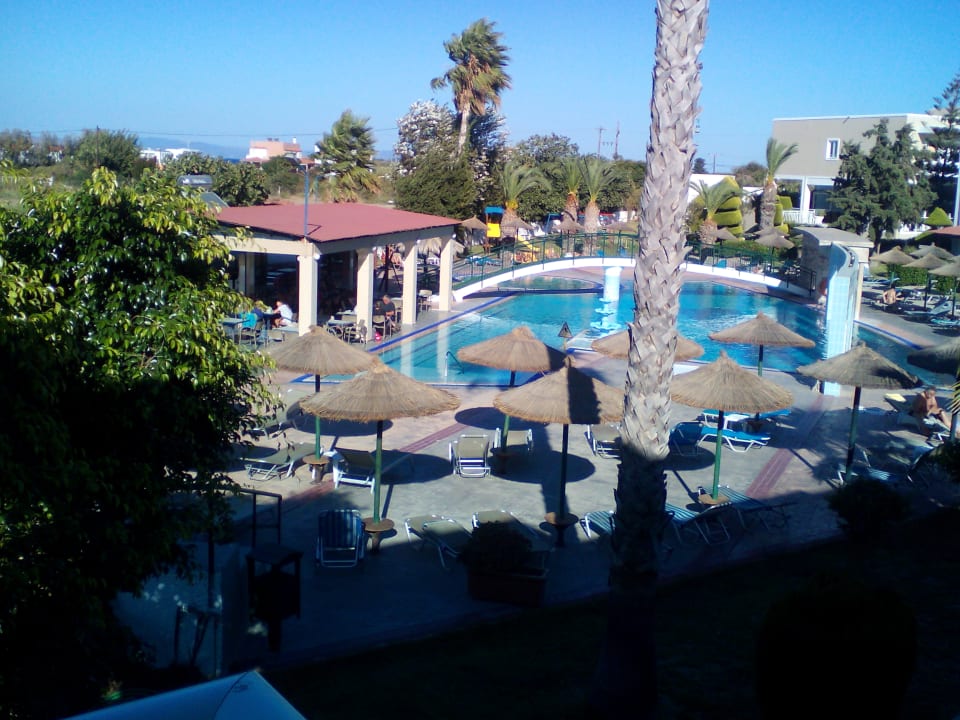 "Pool" Corali Hotel (Tigaki) • HolidayCheck (Kos | Griechenland)