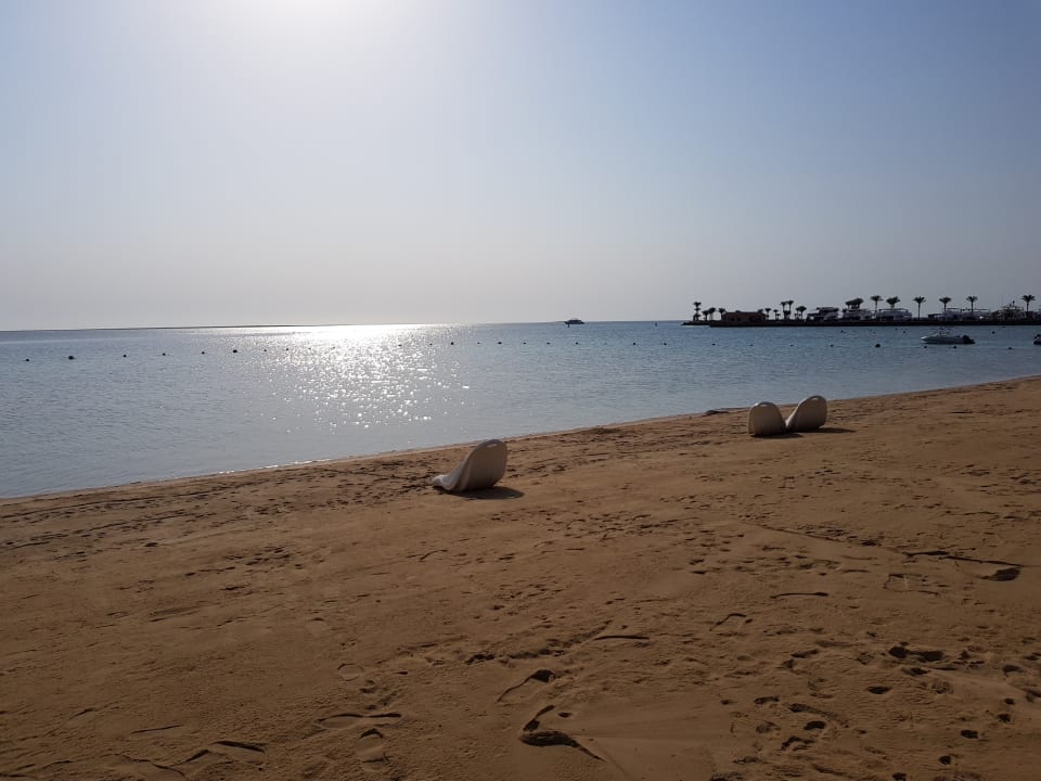 "Strand" Steigenberger ALDAU Beach Hotel (Hurghada) • HolidayCheck ...