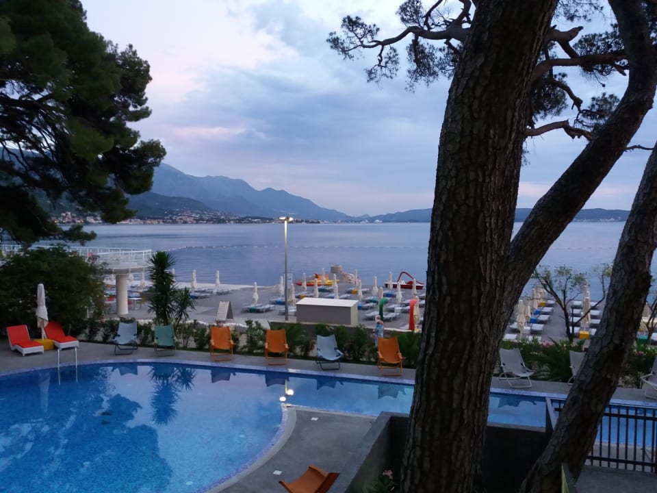 "Pool" Carine Hotel Bijela Park (Bijela) • HolidayCheck (Primorski ...