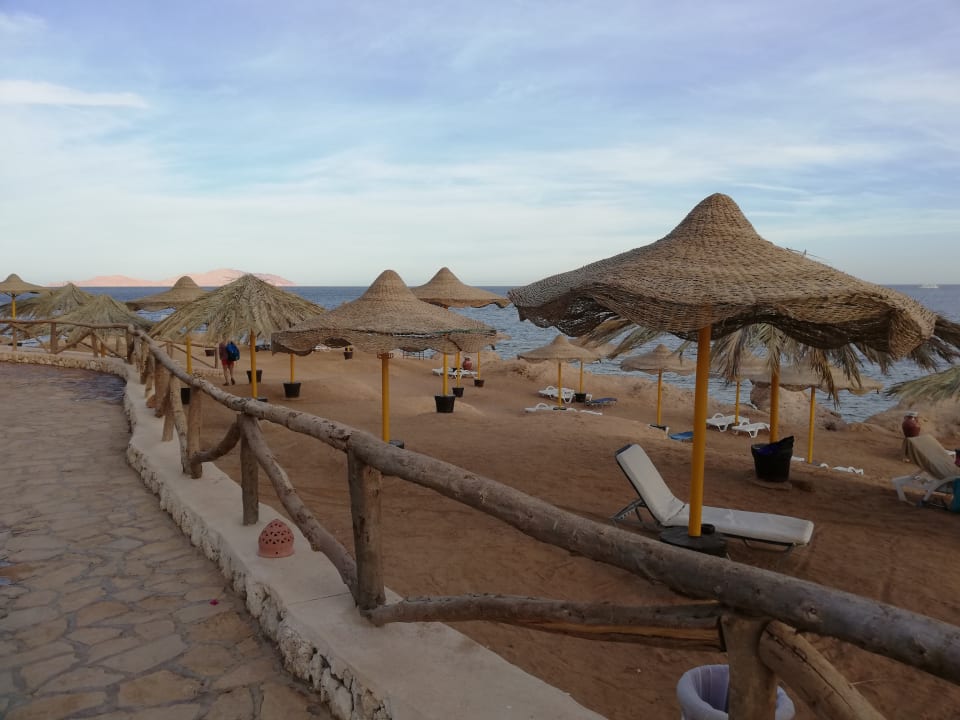 "Strand" Sharm Club Beach Resort (Sharm el Sheikh) • HolidayCheck ...