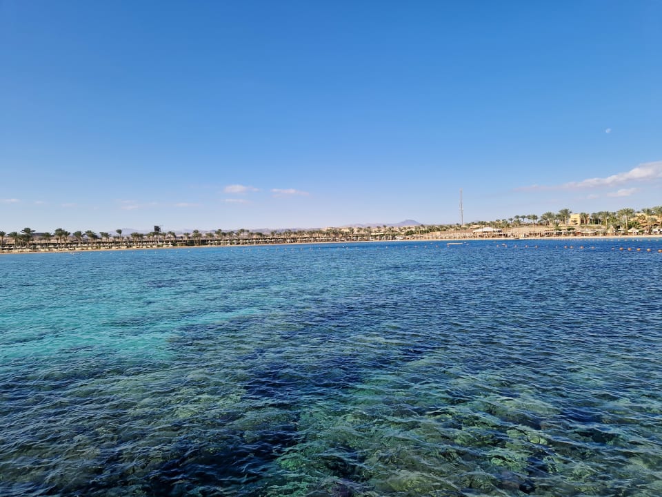 "Strand" Jaz Dar EL Madina (Marsa Alam) • HolidayCheck (Marsa Alam/El ...
