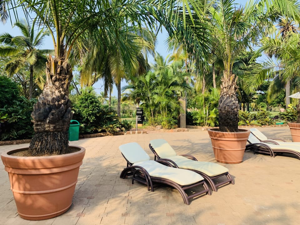 "Pool" The Zuri White Sands, Resort & Casino (Varca Beach ...