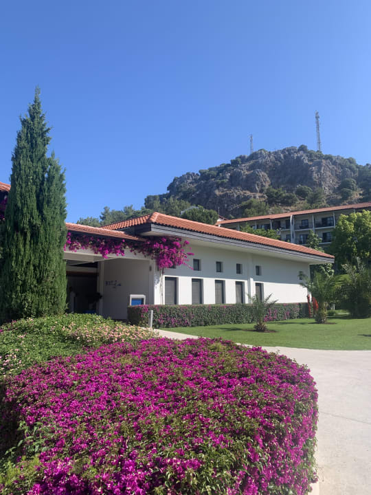 "Strand" TUI BLUE Sarigerme Park (Sarigerme) • HolidayCheck (Türkische ...