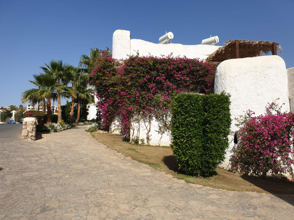 "Außenansicht" Sharm Club Beach Resort (Sharm el Sheikh) • HolidayCheck ...