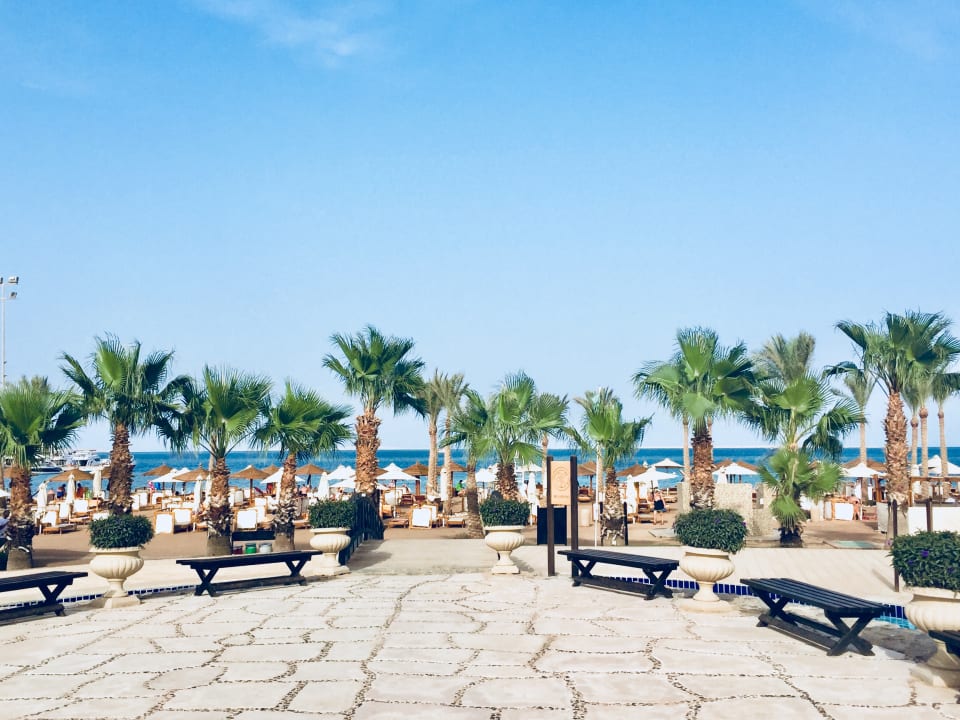 "Strand" Steigenberger ALDAU Beach Hotel (Hurghada) • HolidayCheck ...