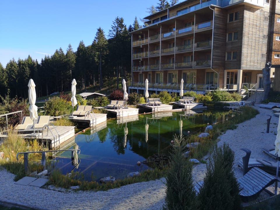 "Pool" Almwellness Hotel Pierer (Fladnitz an der Teichalm ...