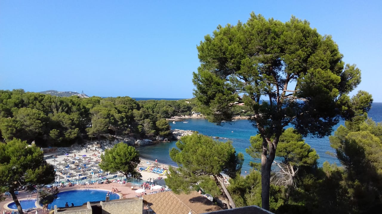 "Ausblick" AluaSoul Carolina - Adults Only (Capdepera) • HolidayCheck ...